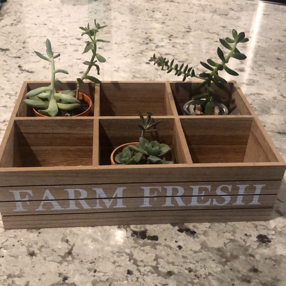 Other | Farm Fresh Wooden Sectioned Herb Garden Box | Poshmark